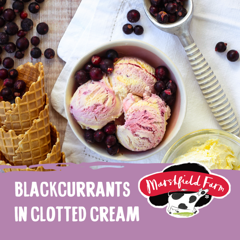 Marshfield Farm Ice Cream Archives - Consort Frozen Foods