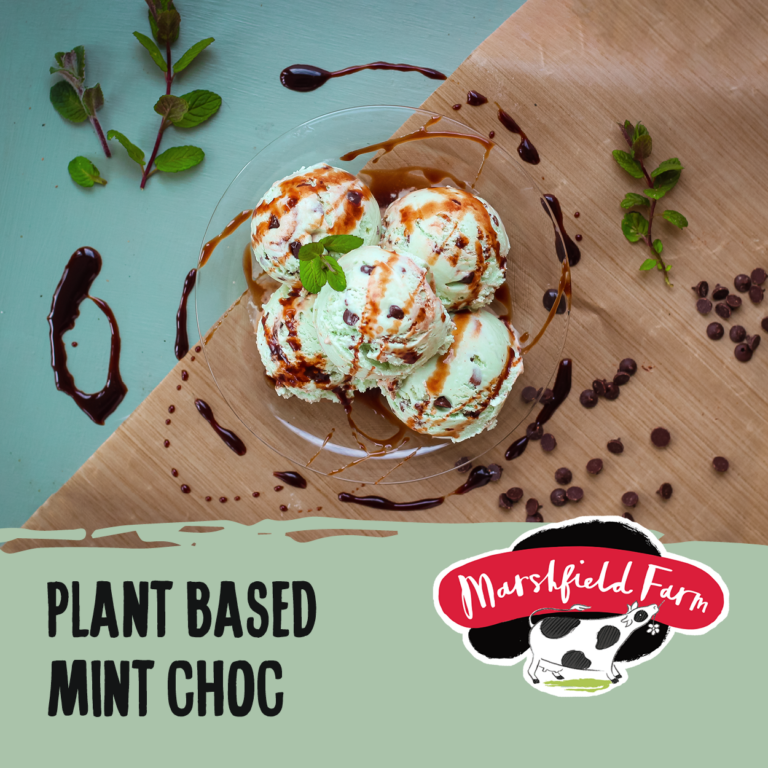 Marshfield Farm Ice Cream Archives - Consort Frozen Foods