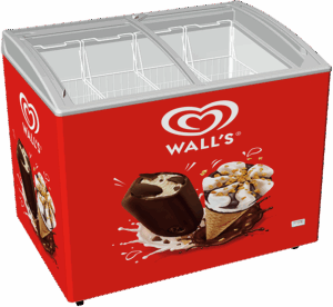Walls Ice Cream Freezers - Consort Frozen Foods